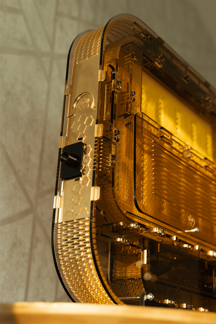 Futuristic Beehive